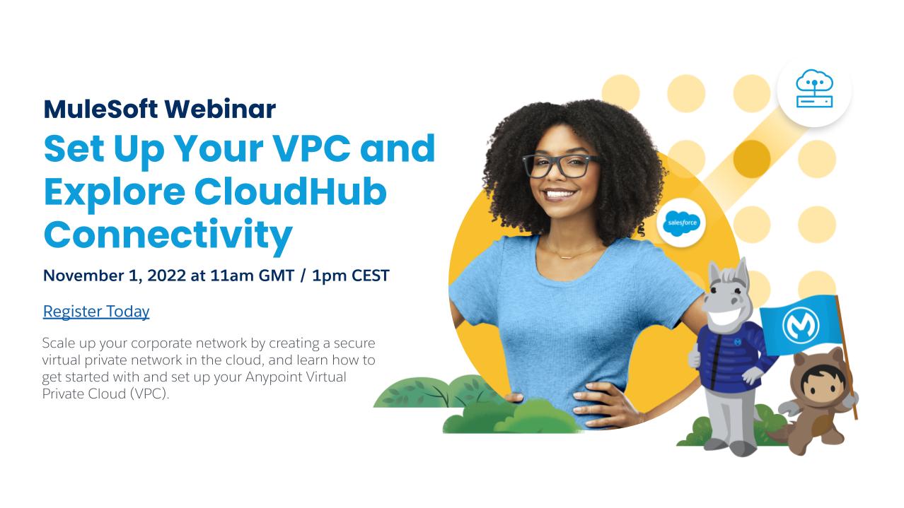 Set Up Your VPC and Explore CloudHub Connectivity | MuleSoft